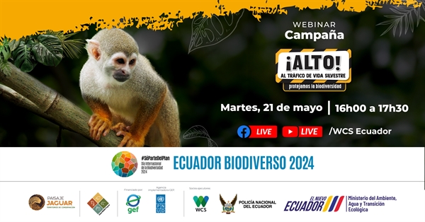 “Alto al Tráfico de Vida Silvestre”, un webinar para difundir la ...