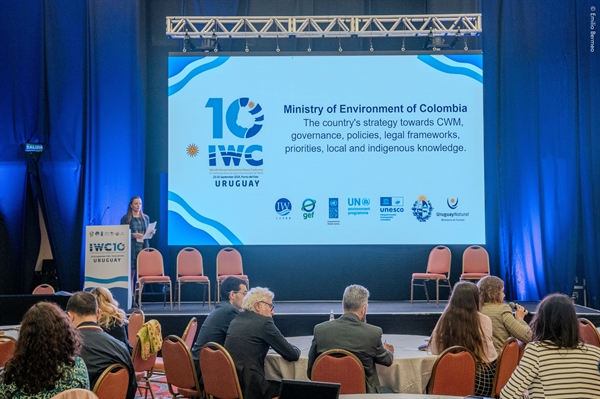 Colaboración en Acción: La Participación del Proyecto Cuenca Putumayo ...