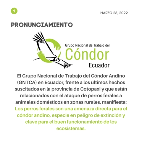 Pronunciamiento: Grupo Nacional de Trabajo del Cóndor Andino en Ecuador ...