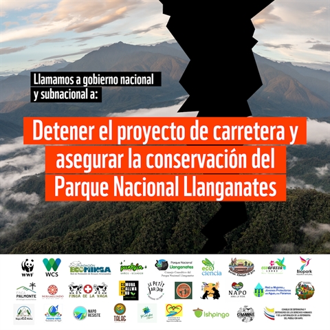 Organizaciones y comunidades piden detener proyecto de carretera que ...