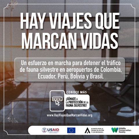 WCS lanza su campaña ‘Hay viajes que marcan vidas’, con la que busca ...