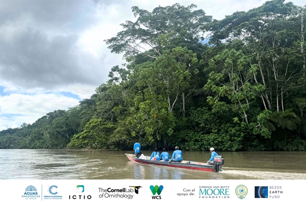 Pescadores artesanales unidos por una pesca sostenible en la Amazonía ...