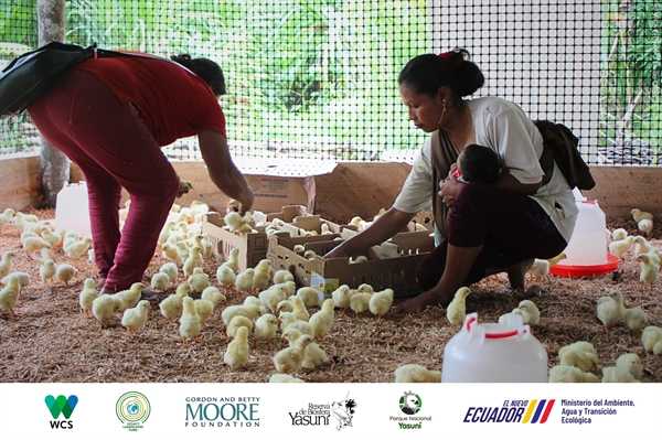 Alternativas sostenibles de proteína impulsan la conservación de la ...