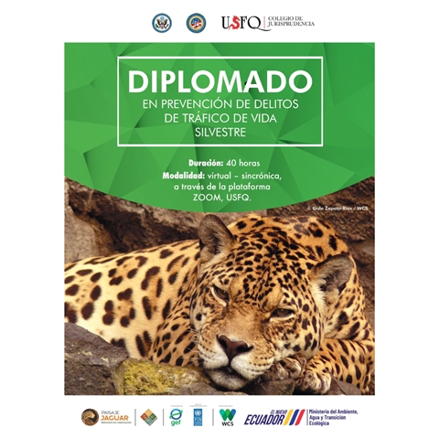 WCS junto al Colegio de Jurisprudencia de la USFQ ofertaron diplomado ...