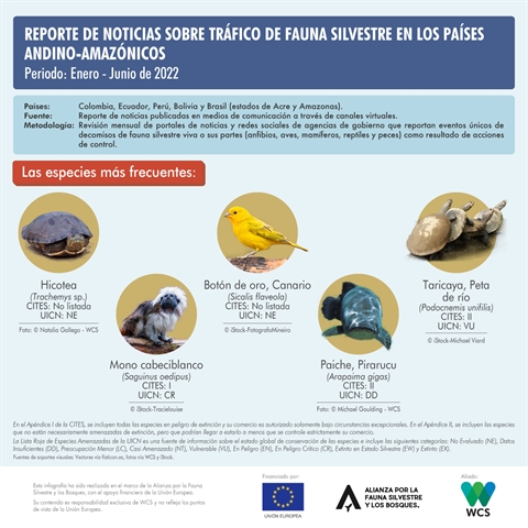 5368 animales silvestres vivos, víctimas de tráfico, fueron decomisados ...