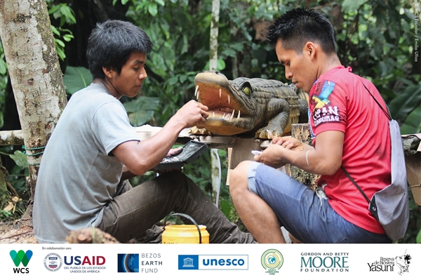 WCS Ecuador apoya el fortalecimiento del turismo comunitario en la ...